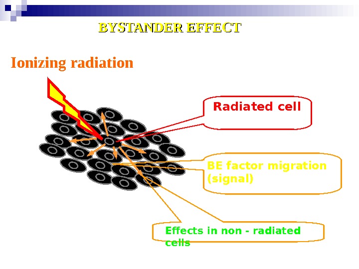 BYSTANDER EFFECT The bystander effect refers