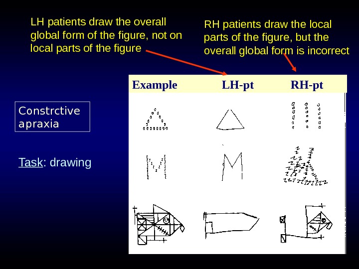 Cerebral asymmetry and the specific functions of the
