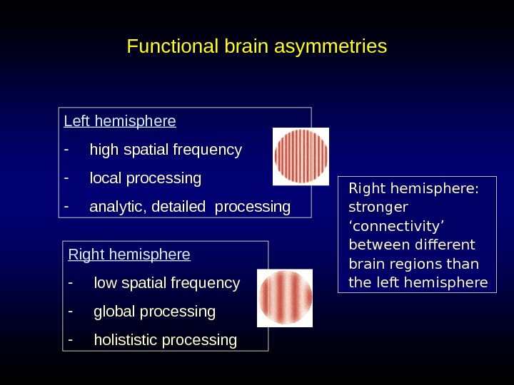 Cerebral asymmetry and the specific functions of the