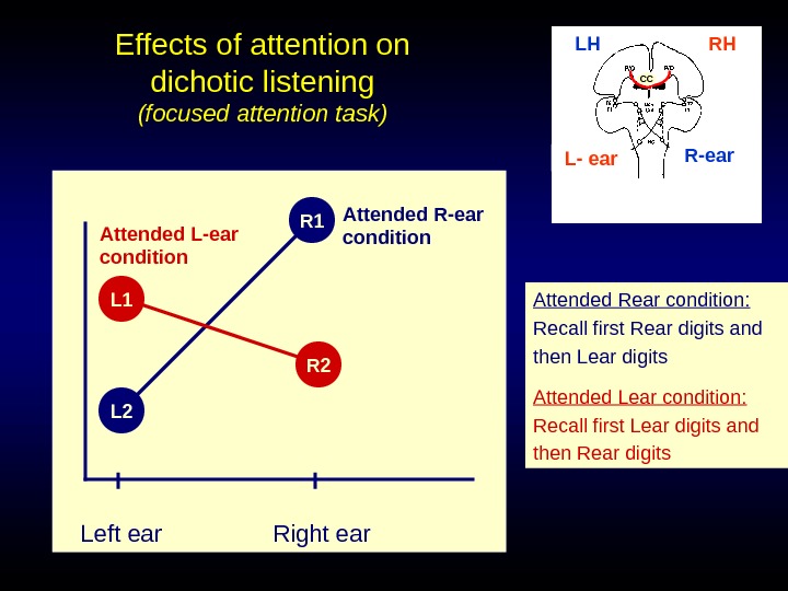 Cerebral asymmetry and the specific functions of the