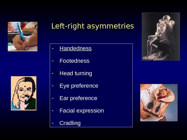 Cerebral asymmetry and the specific functions of the