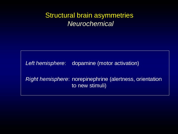 Cerebral asymmetry and the specific functions of the