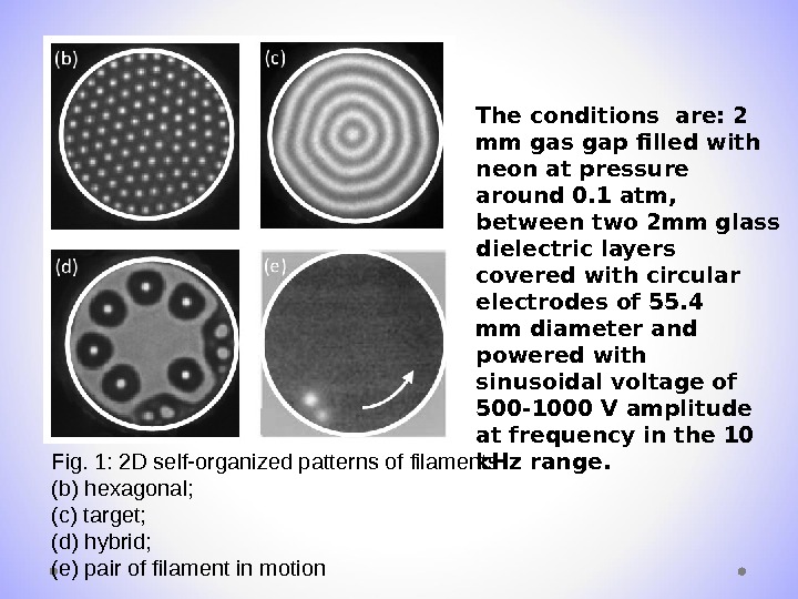 Complex plasmas. Self organization in plasma Kiev National