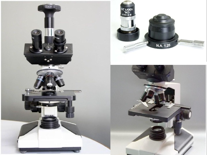 Darkfield Microscope for Blood Analysis with Camera Manufactured
