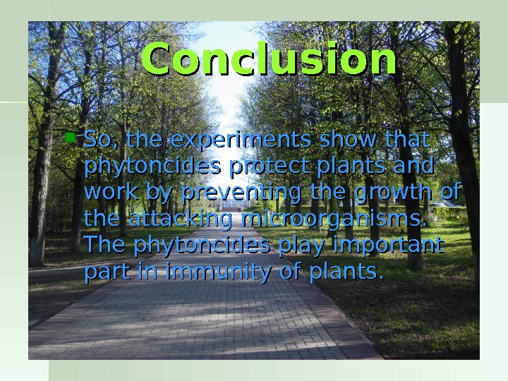 Phytoncides’ effect on the growth of Pseudomonas