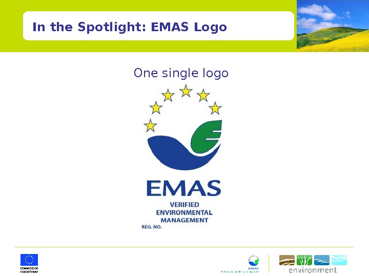 The EU Eco-Management and Audit Scheme (EMAS)