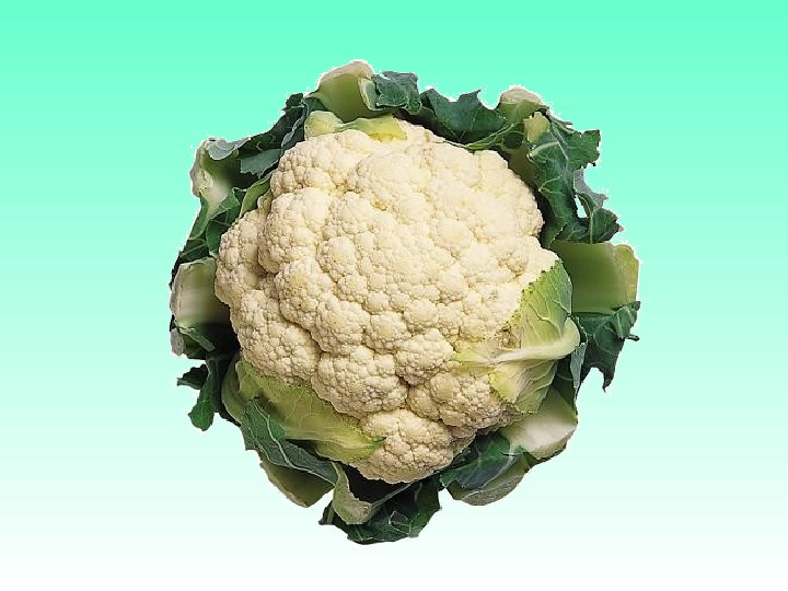 Презентация english ovoshi 1