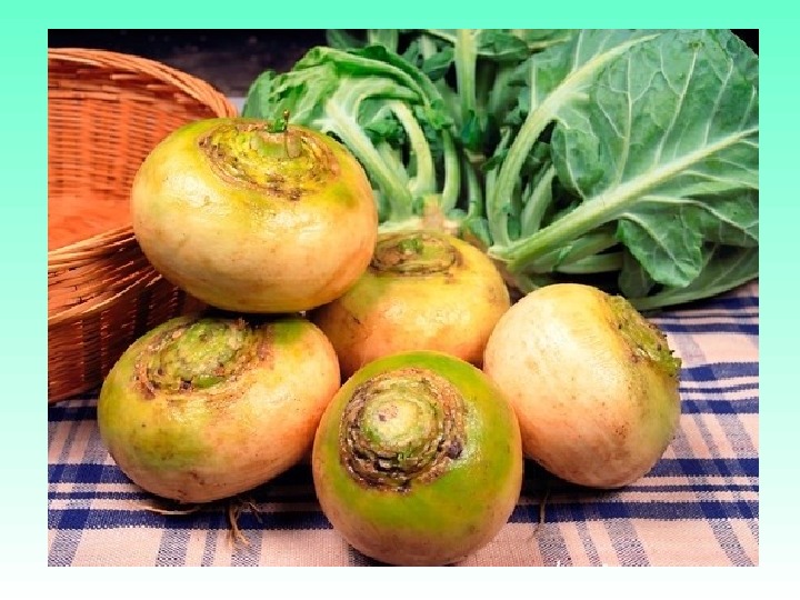 Презентация english ovoshi 2