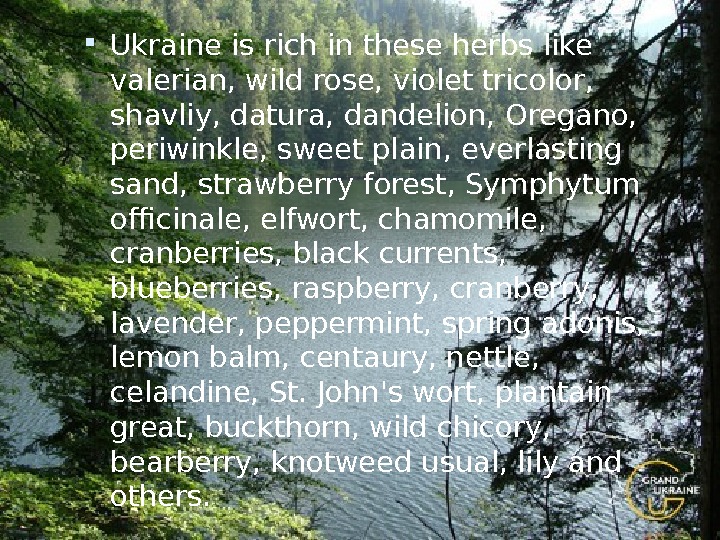 Flora Ukraine The territory of Ukraine is