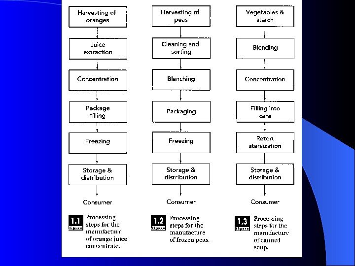 Презентация food processing