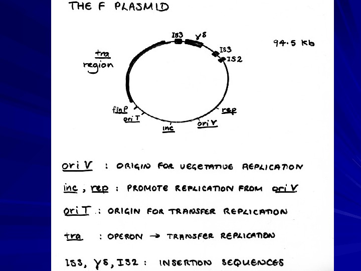 Gene Exchange/Gene Mapping Techniques in Bacteria Transformation