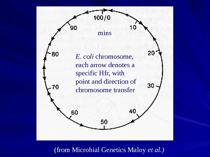 Gene Exchange/Gene Mapping Techniques in Bacteria Transformation