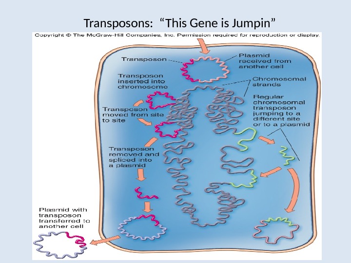 Microbial Genetics By Konrad T. Juszkiewicz MD, MPH