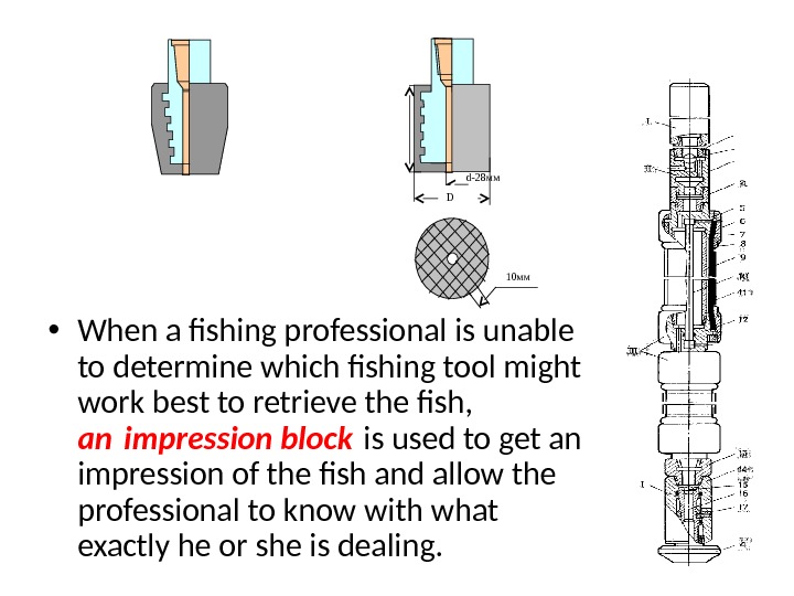 How Does Fishing Work? Done by: Tuganbayev A.