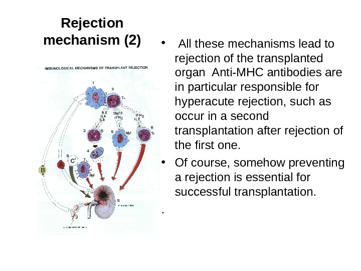 Immunology of transplantation. Reproductive immunology. Transplantation ...