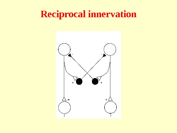 INHIBITION IN CENTRAL NERVOUS SYSTEM (CNS). PROPERTIES OF