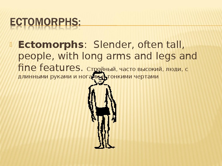 Lecture 6 Individually-typological features of personality