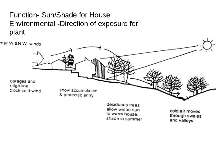Landscape Planting Design Where in the design process