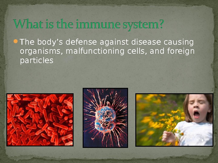 Презентация lecture 13. microbe and disease. immune system