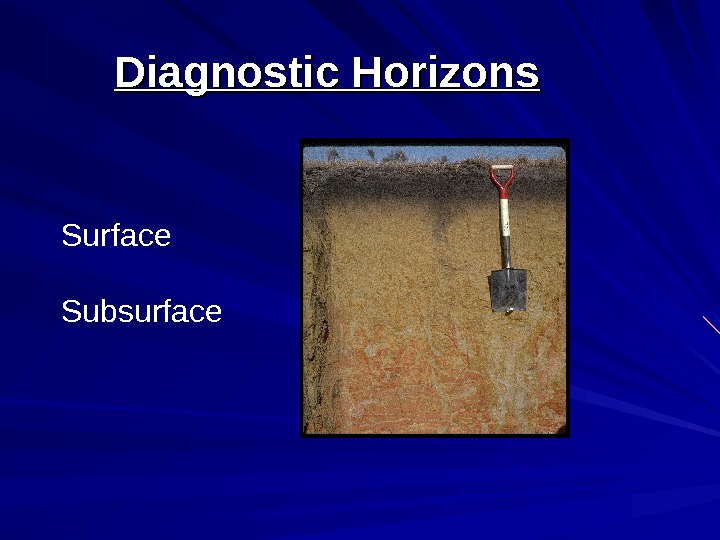 Soil Morphology and Classification E horizon.
