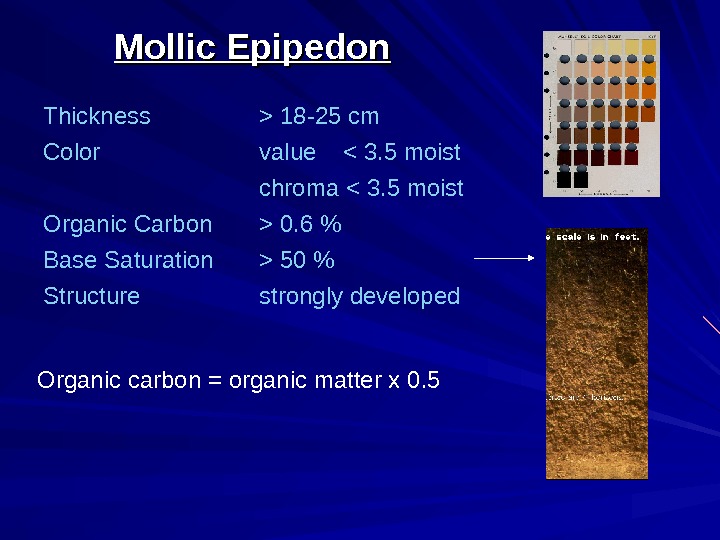 Soil Morphology and Classification E horizon.