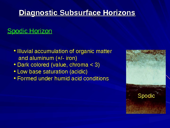Soil Morphology and Classification E horizon.