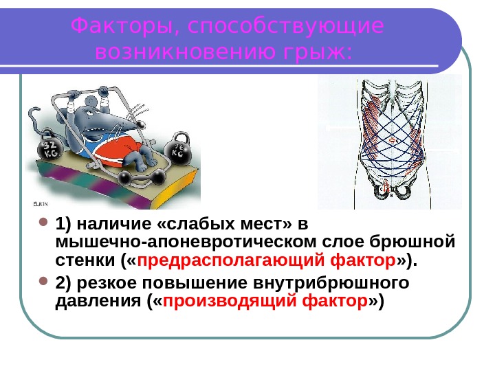 ЛЕКЦИЯ № 4 ТОПОГРАФИЧЕСКАЯ АНАТОМИЯ ПЕРЕДНЕЙ БРЮШНОЙ СТЕНКИ.