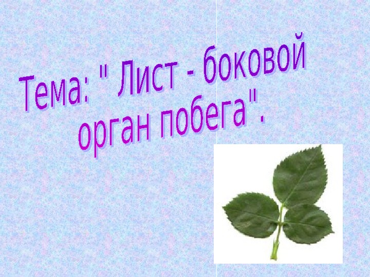 Презентация list pobeg