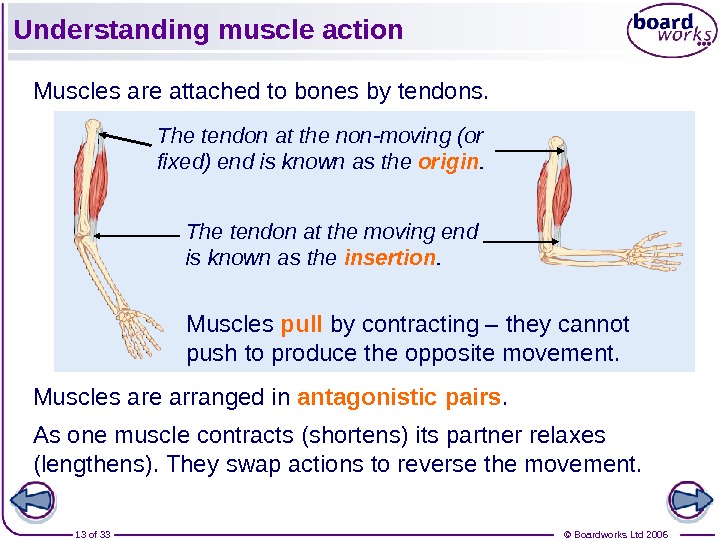 © Boardworks Ltd 20061 of 33 Medical terms