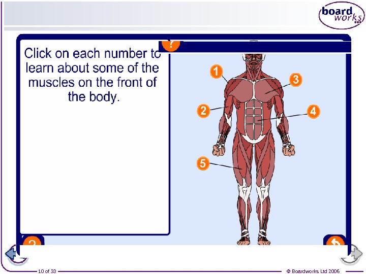© Boardworks Ltd 20061 of 33 Medical terms