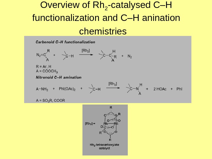 Metal–metal multiple bonded intermediates in catalysis (for example,