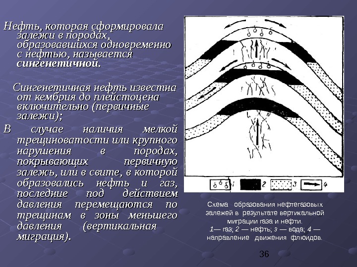 Презентация migratsiya nefti i gaza v zemnoy kore