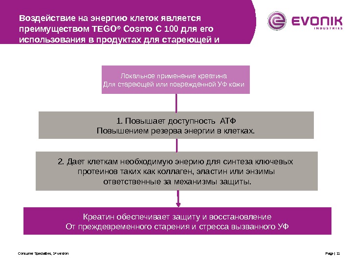 TEGO ® Cosmo C 100 восстановитель стареющей