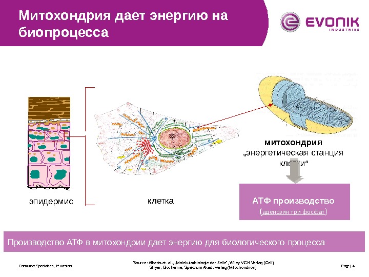 TEGO ® Cosmo C 100 восстановитель стареющей