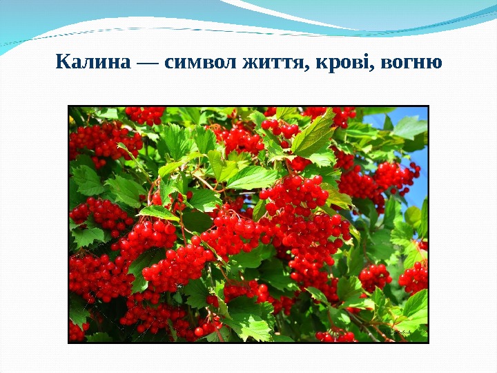 Народні символи