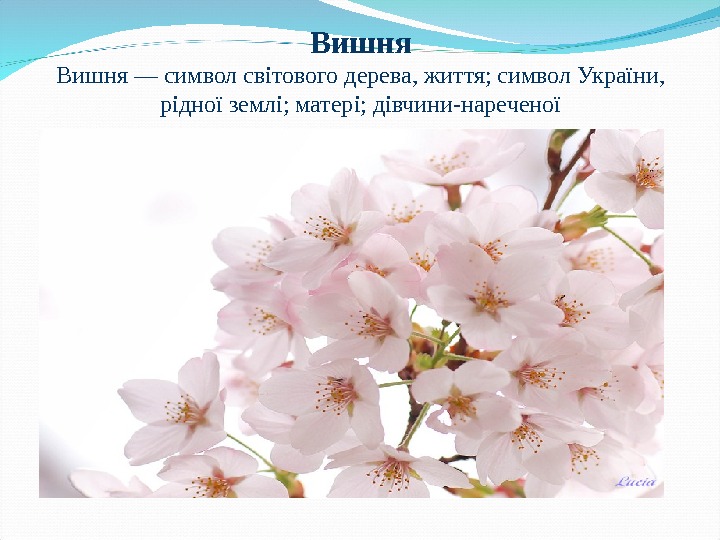 Народні символи