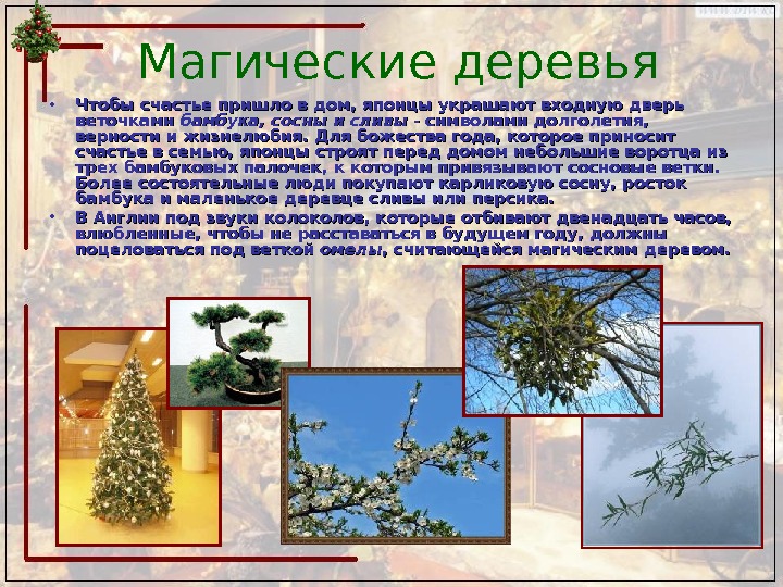 Презентация novii god