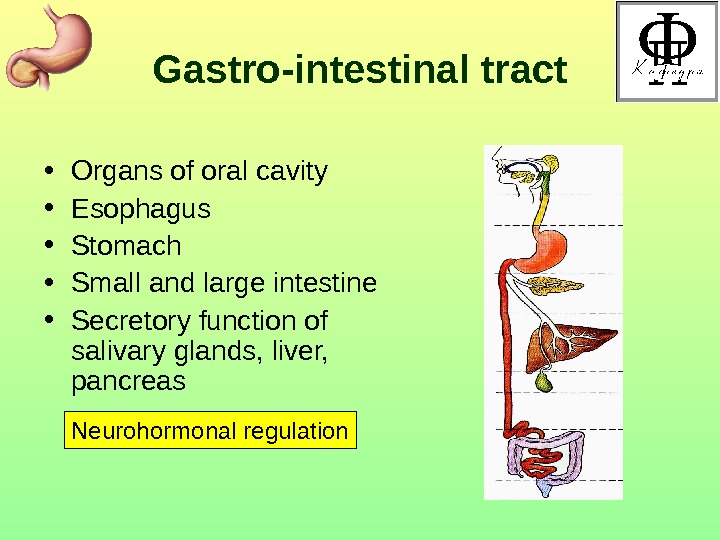 Pathophysiology of gastro-intestinal tract Gastro-intestinal tract