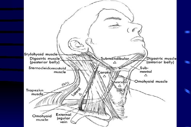 Penetrating Neck Trauma Rambam Medical Center Dr Nordkin