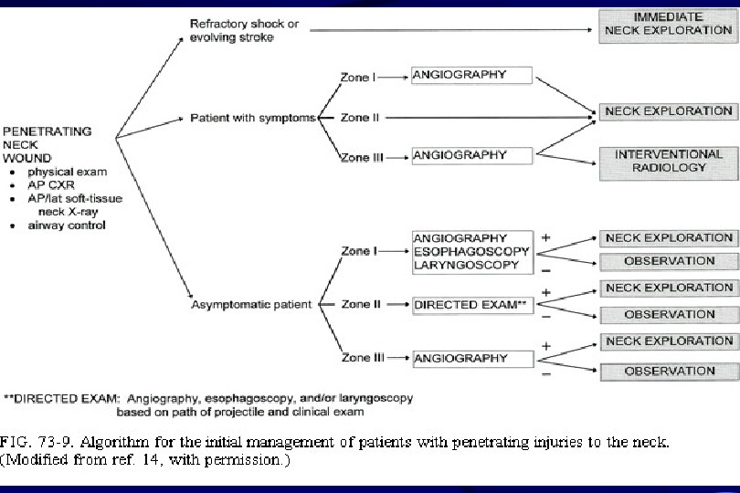 Penetrating Neck Trauma Rambam Medical Center Dr Nordkin