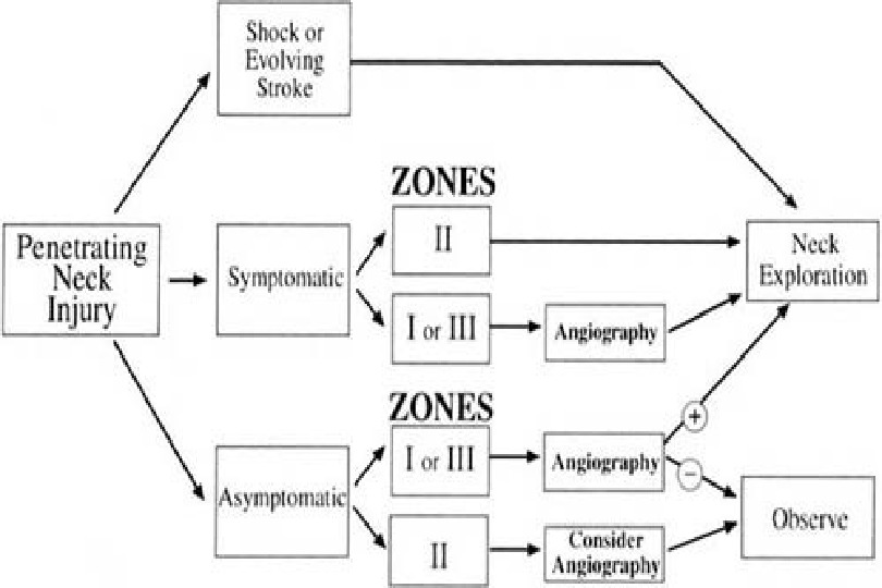 Penetrating Neck Trauma Rambam Medical Center Dr Nordkin