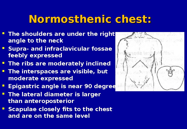 Percussion of the lungs Palpation of the chest