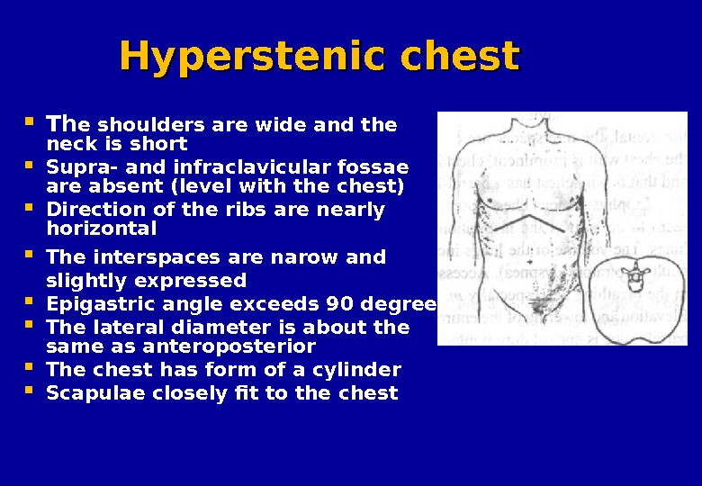 Percussion of the lungs Palpation of the chest