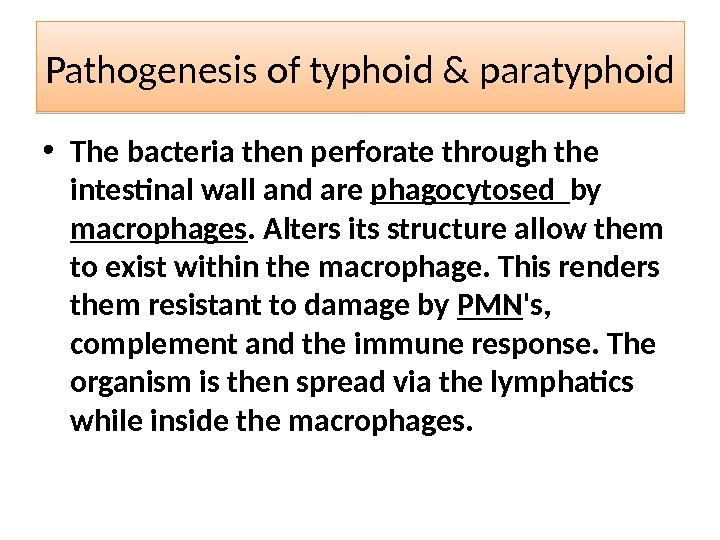 Typhoid Fever & Paratyphoid Fevers A, B, and