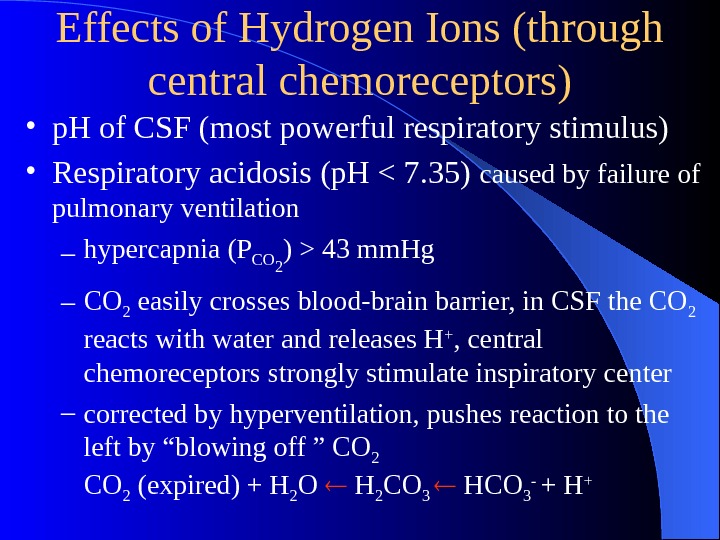Section 4 Regulation of the Respiration I.