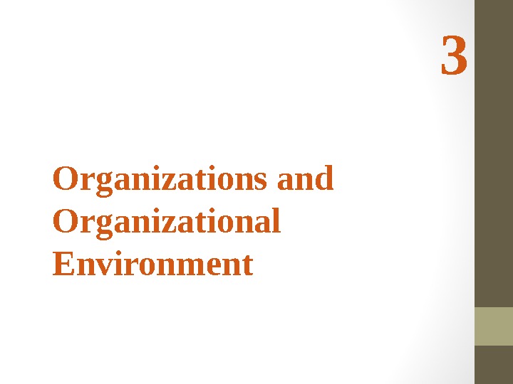 Organizations and Organizational Environment 3 Types of