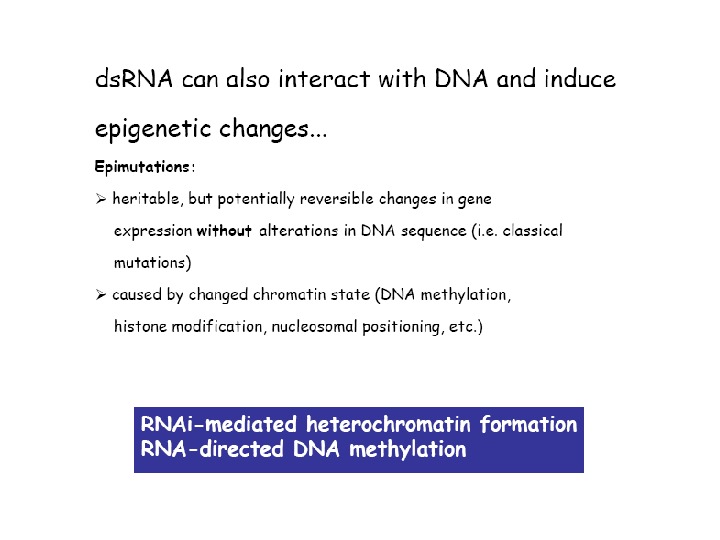 Course Title: Epigenetics Lecture Titles: Lecture I: