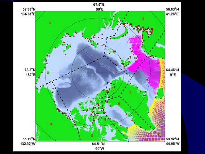 Tides in the Arctic Ruslan May Cotidal