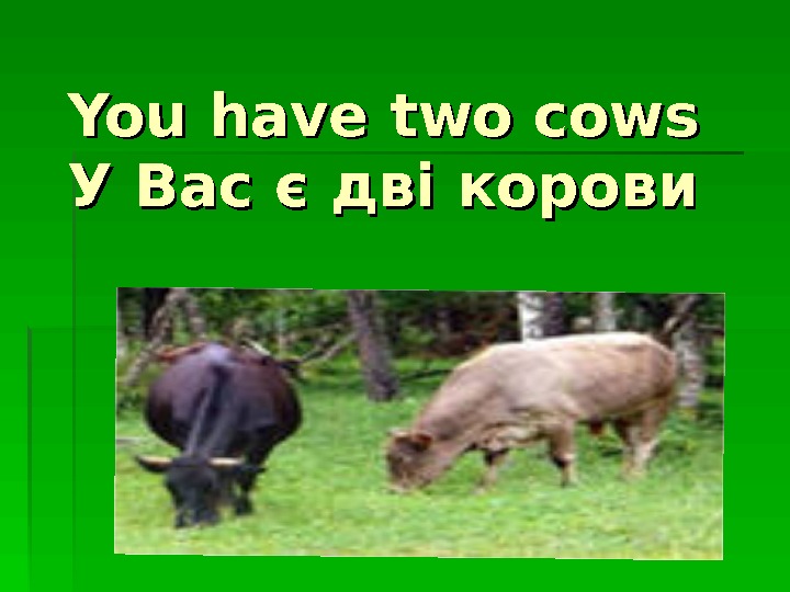 Презентация You have two cows