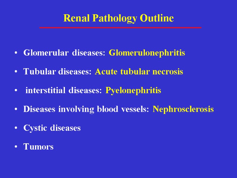 Renal Pathology Introduction: 150gm: each kidney 1700 liters